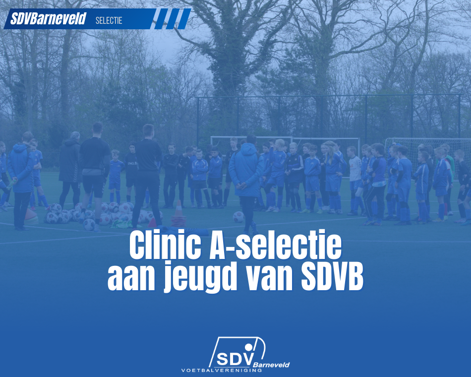 Home | SDV Barneveld